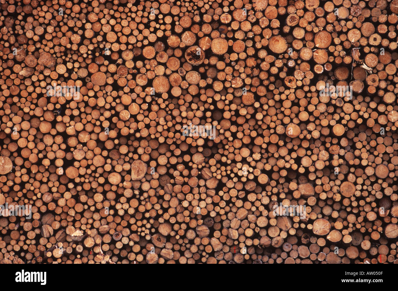 pulp wood stacked in processing yard Stock Photo - Alamy