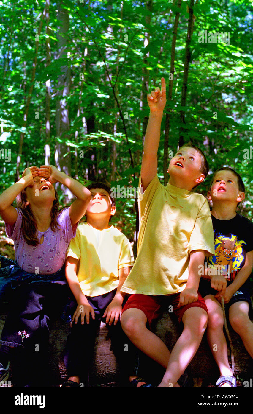Children in the woods Stock Photo - Alamy