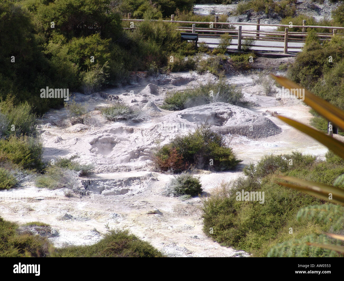 Volcanic bubbling mud pools Rotorua North Island New Zealand Stock ...