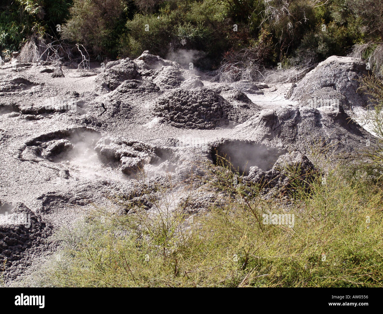 Volcanic bubbling mud pools Rotorua North Island New Zealand Stock ...