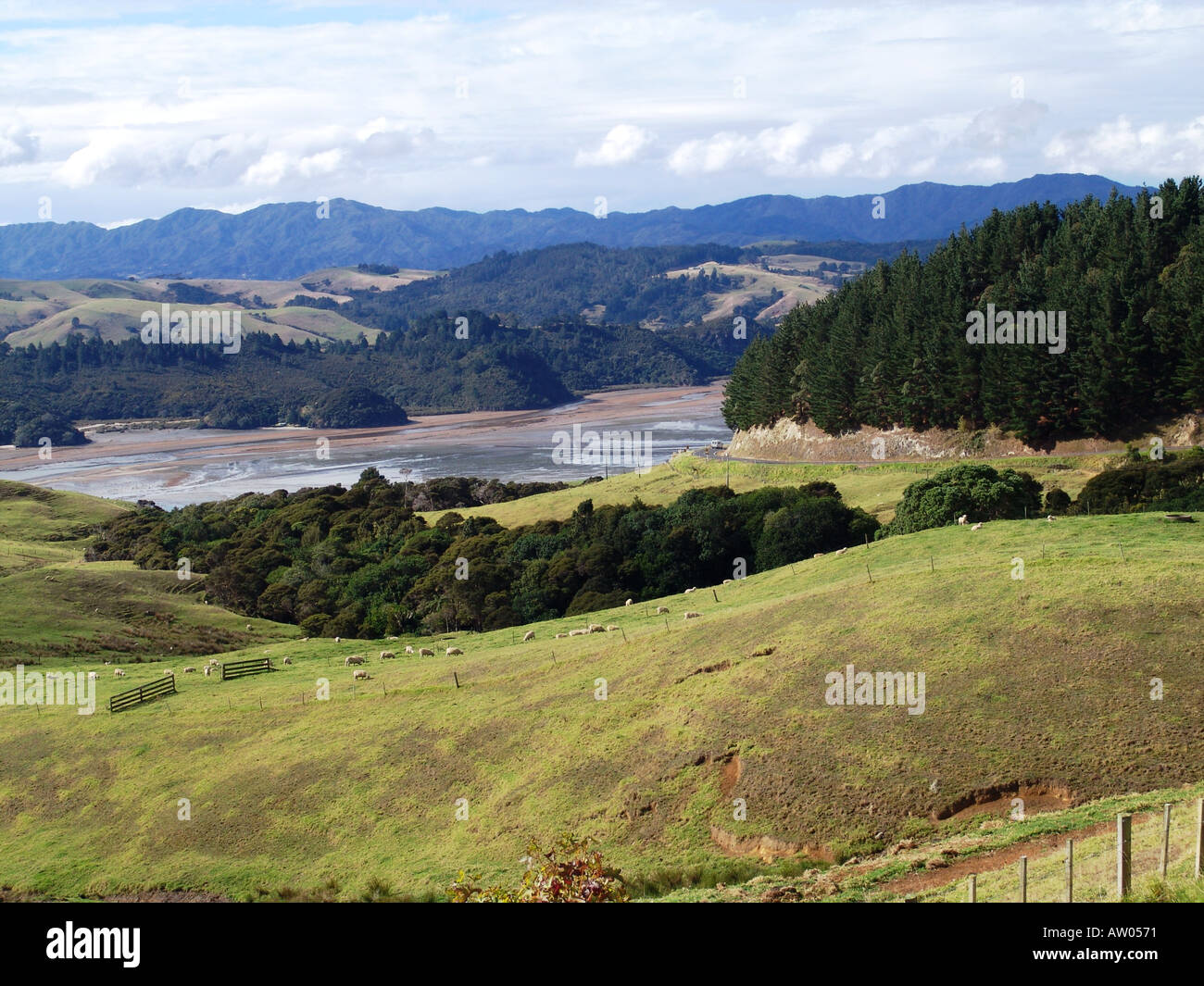 New Zealand countryside with bay and mountains Corramandel Peninsular ...