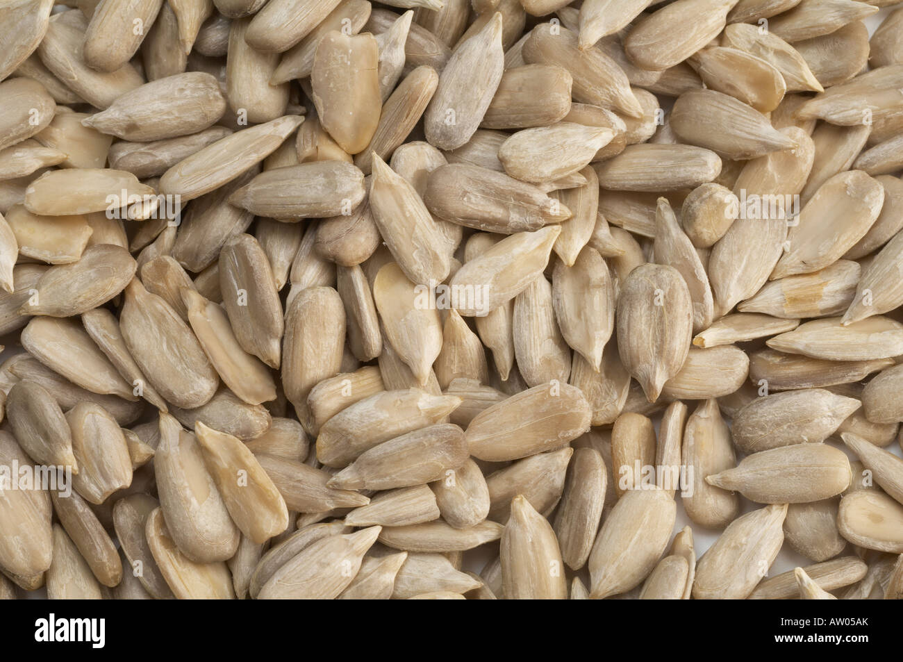 Sunflower seeds close up Stock Photo - Alamy