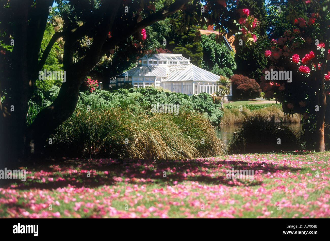 Mona vale new zealand hi-res stock photography and images - Alamy