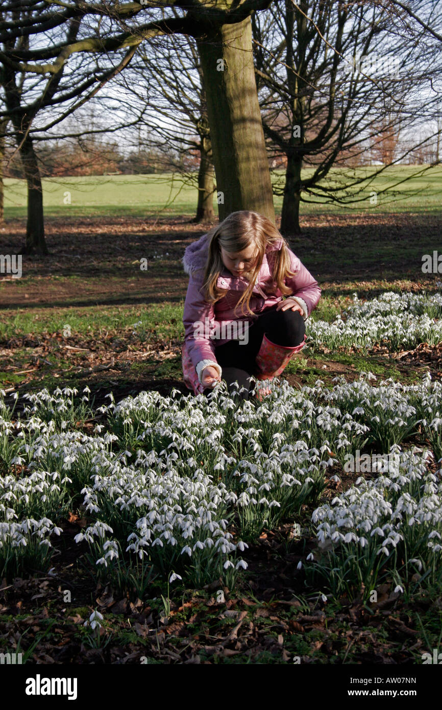 A YOUNG GIRL LOOKING AT SNOWDROPS Stock Photo - Alamy
