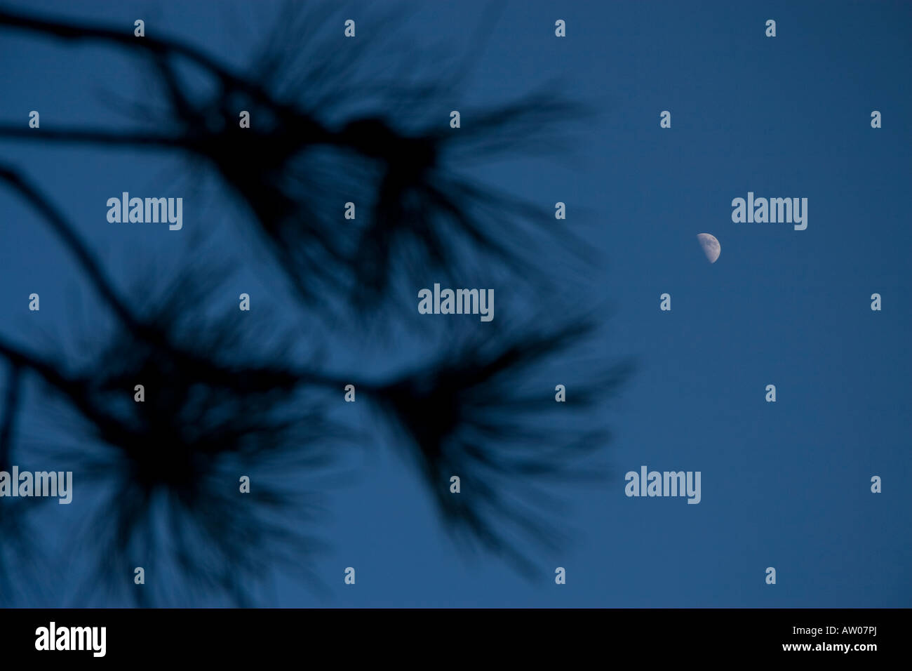 Curved moon shape hi-res stock photography and images - Alamy