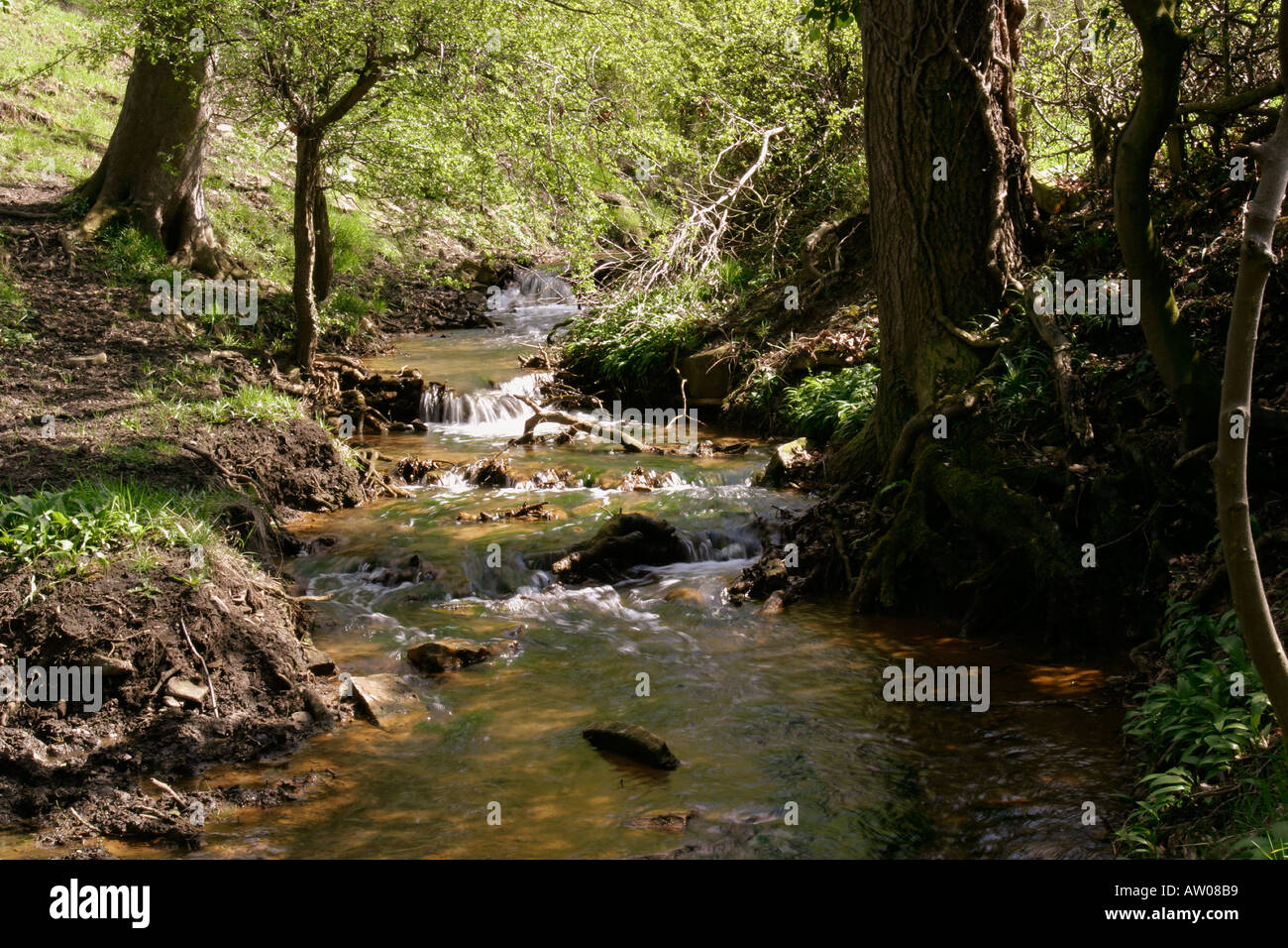 Middlestown hi-res stock photography and images - Alamy