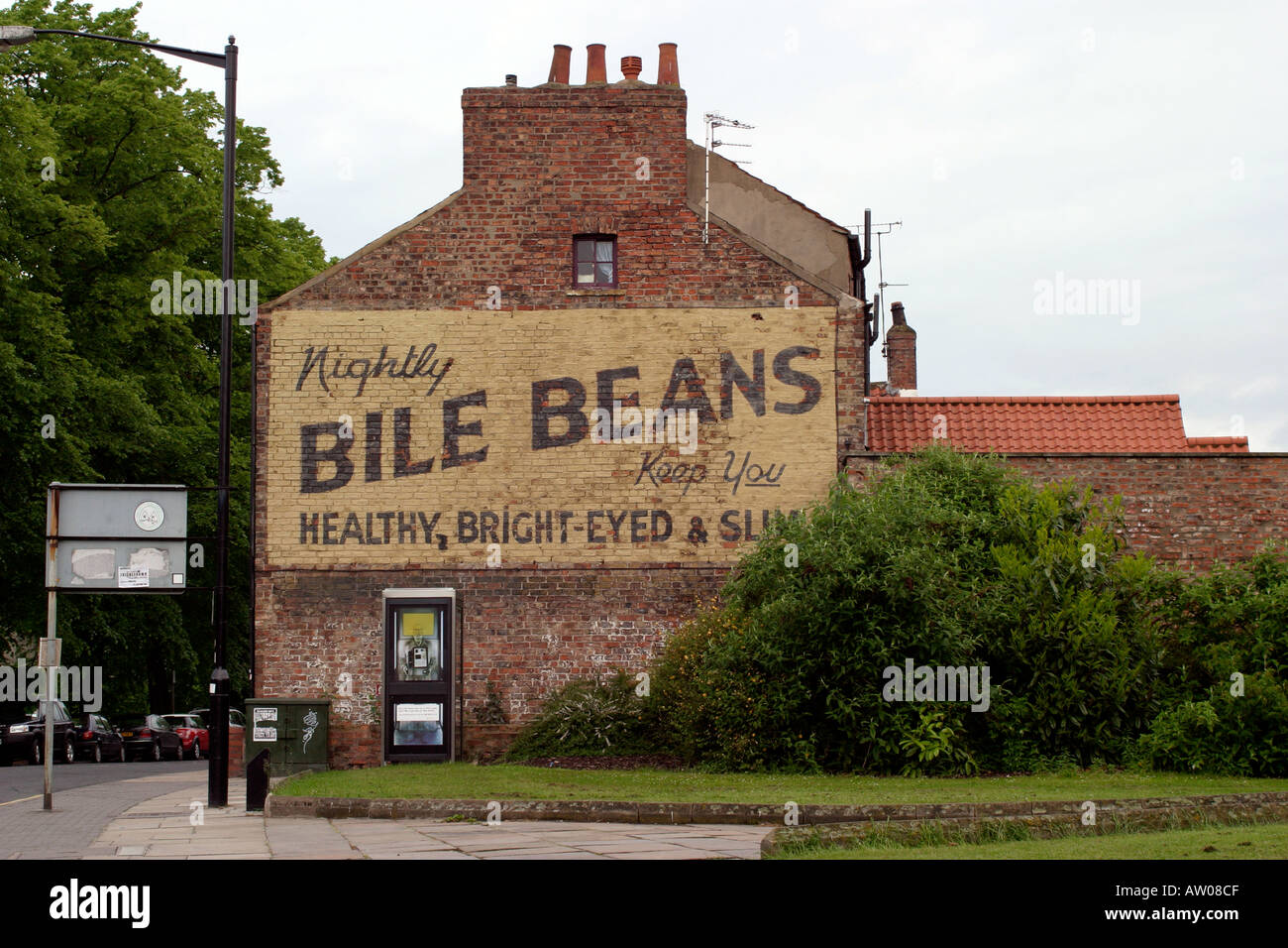 Bile beans york hi-res stock photography and images - Alamy