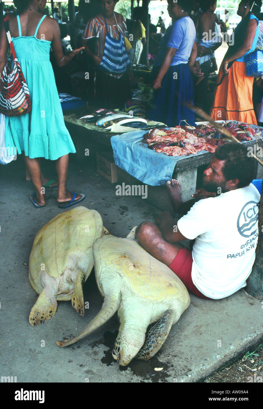 Turtle in Koki Market Port Moresby Papua New Guinea Stock Photo - Alamy