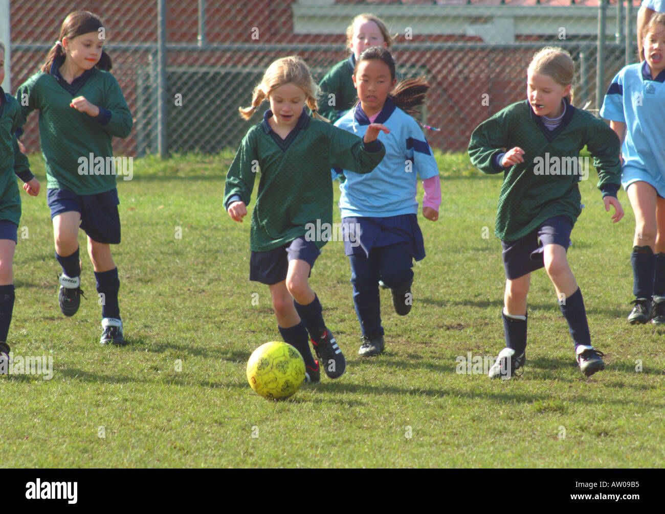 Two primary school girls teams playing soccer on a public sports field ...