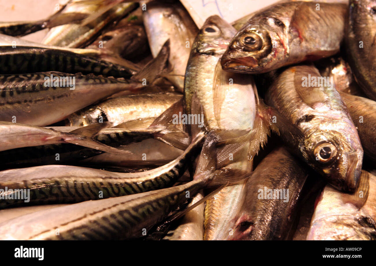 Fresh fish for sale in a Spanish Market Stock Photo - Alamy