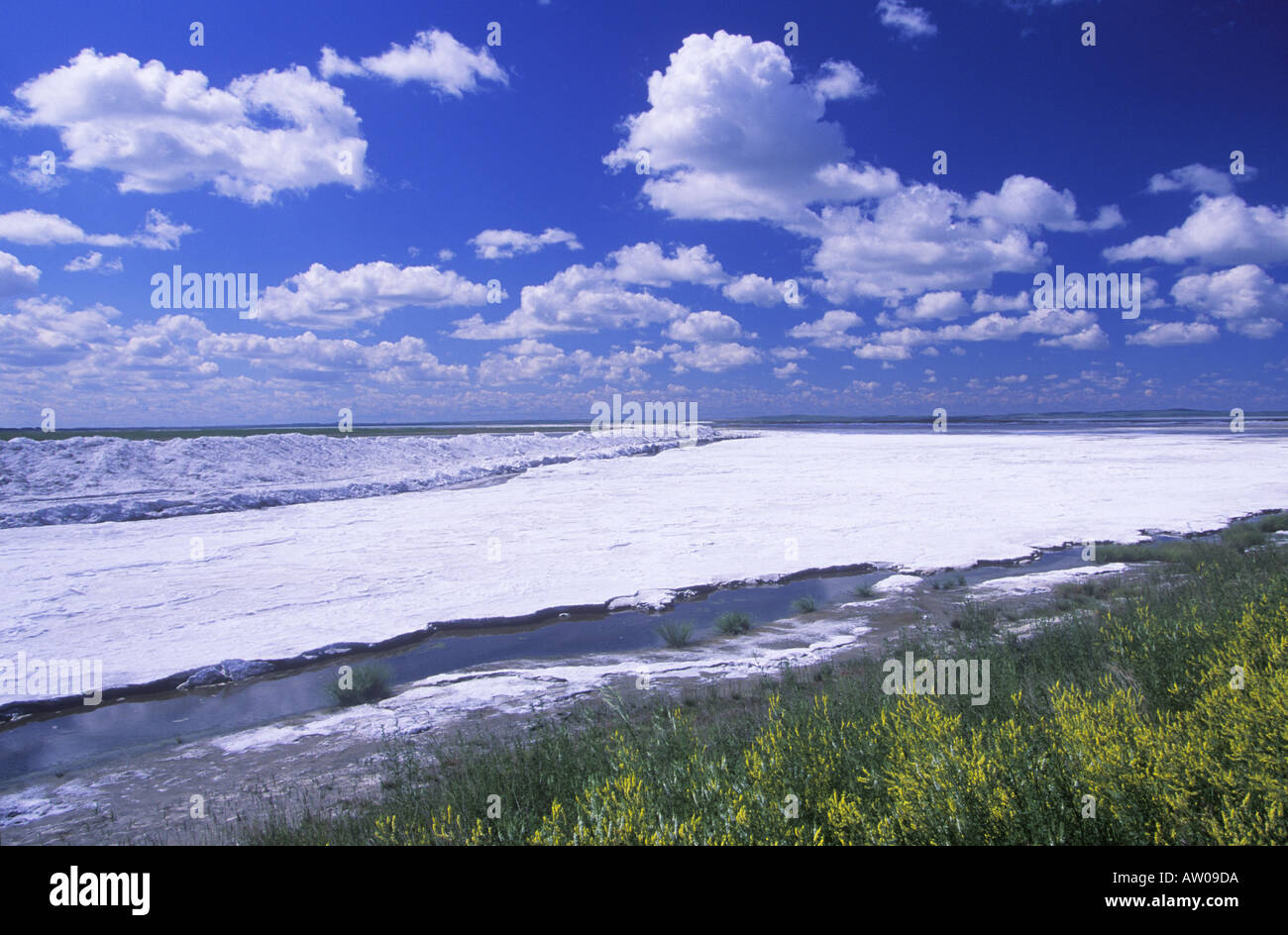 Salt laden flats hi-res stock photography and images - Alamy
