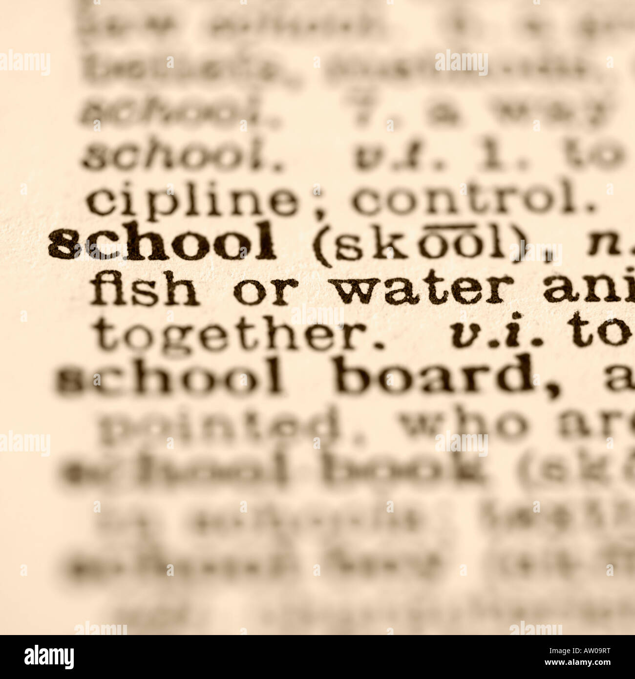 Definition of school Stock Photo - Alamy