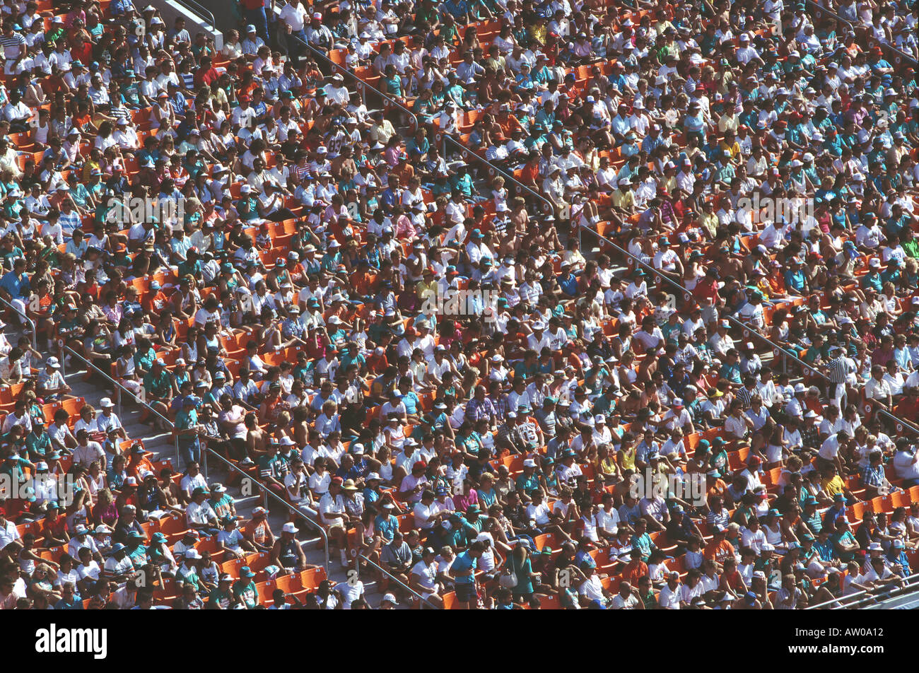 Dolphins fans hi-res stock photography and images - Alamy