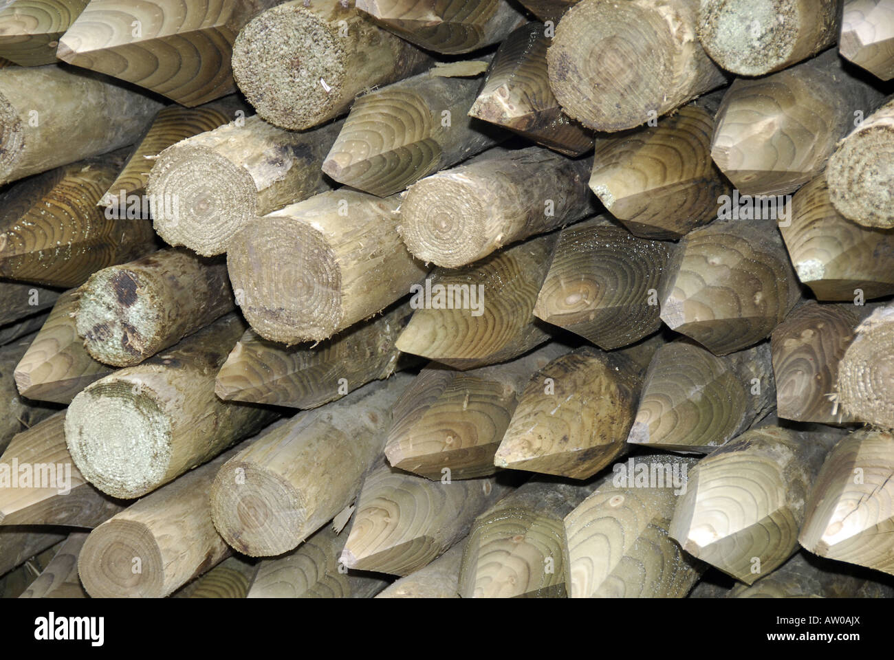 Spiked posts hi-res stock photography and images - Alamy