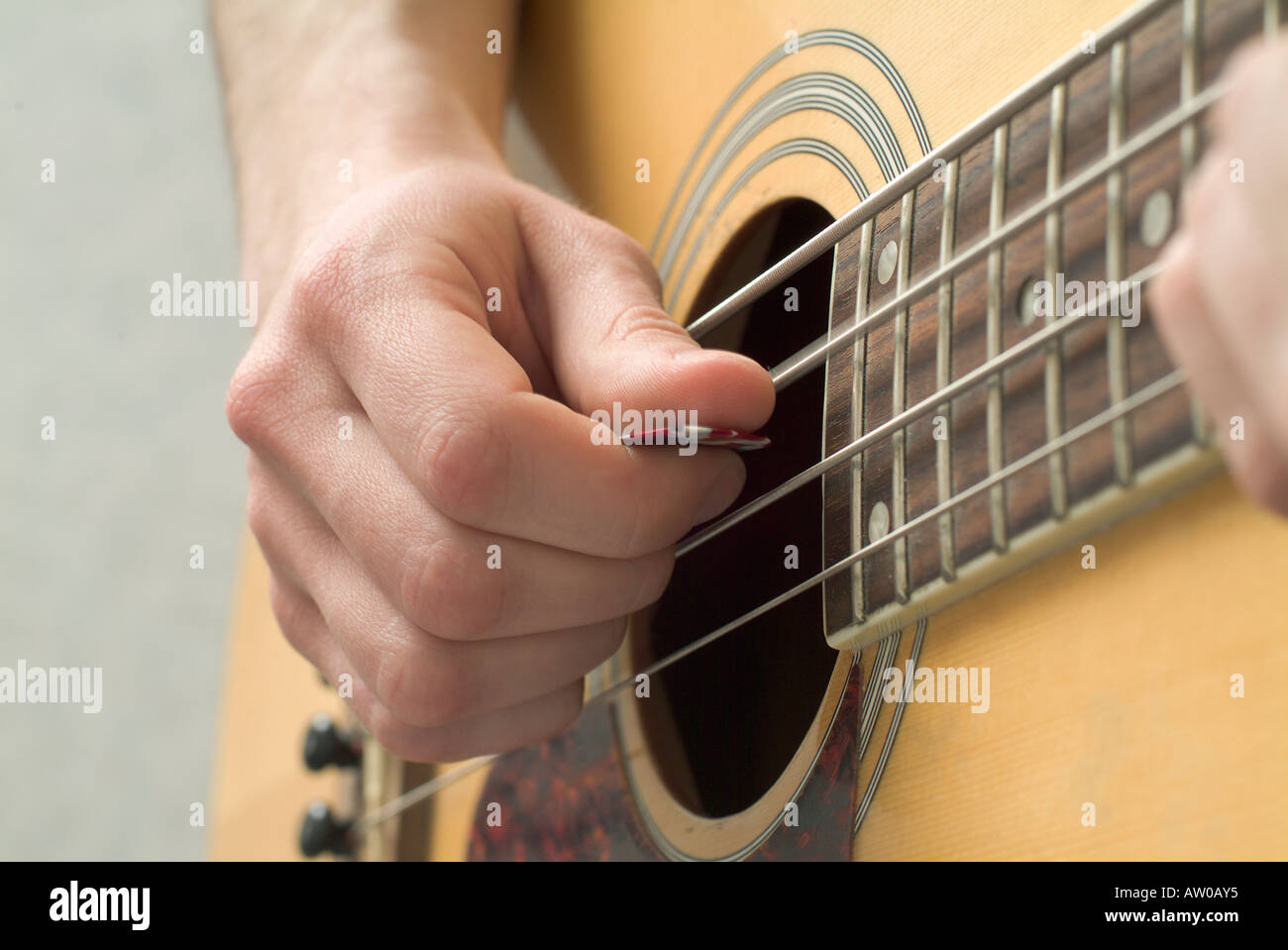 Human body parts royalty free hi-res stock photography and images - Alamy