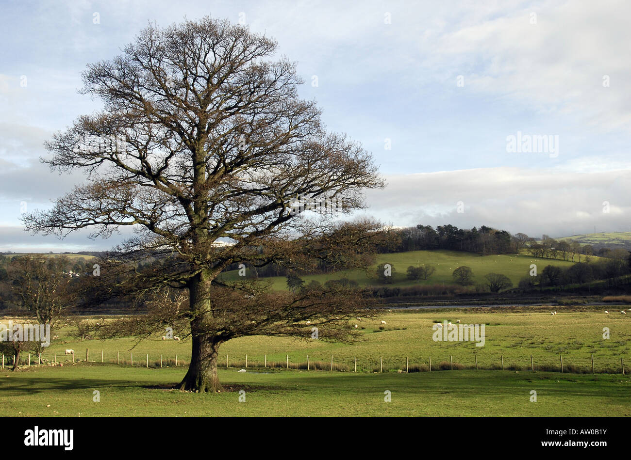 Sunshine on Welsh green countryside scene Stock Photo - Alamy