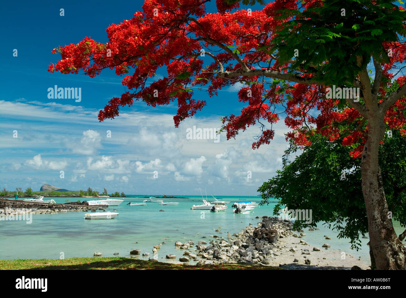 CALODYNE - MAURITIUS ISLAND Stock Photo - Alamy