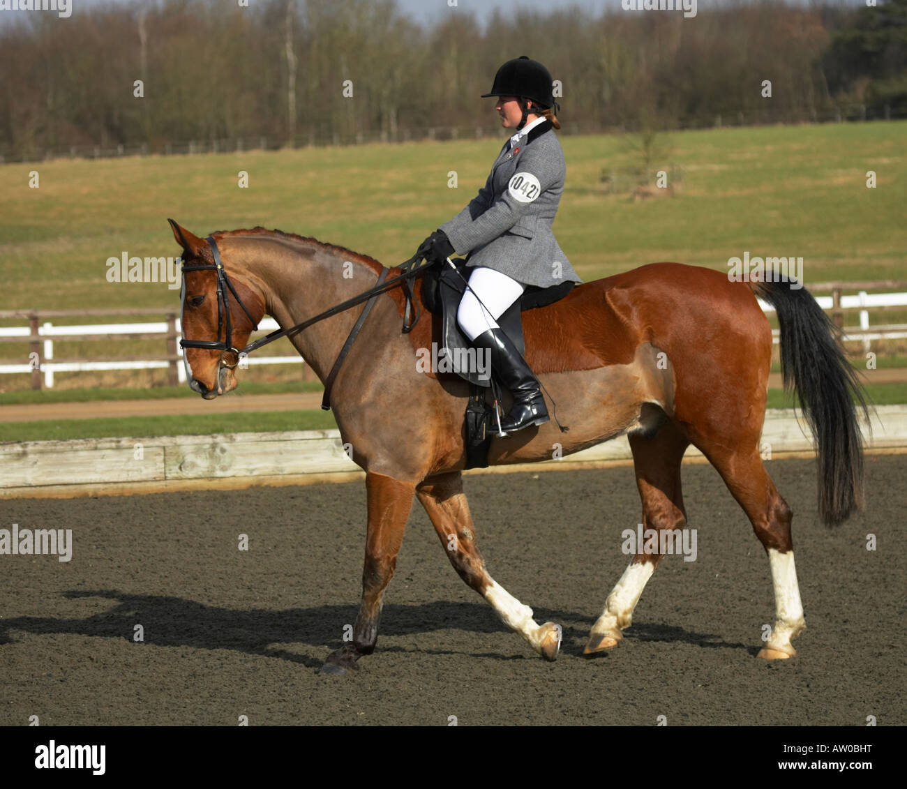 Horse rider in dressage competition Stock Photo - Alamy
