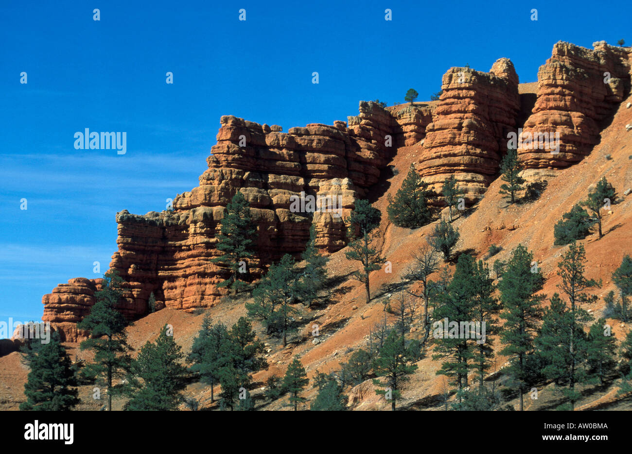 Red Canyon national park Utah United States of America North America ...