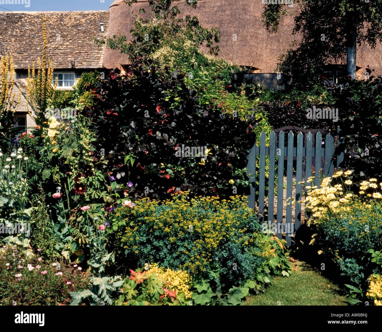 Summer border, garden gate and thatched cottage Stock Photo - Alamy