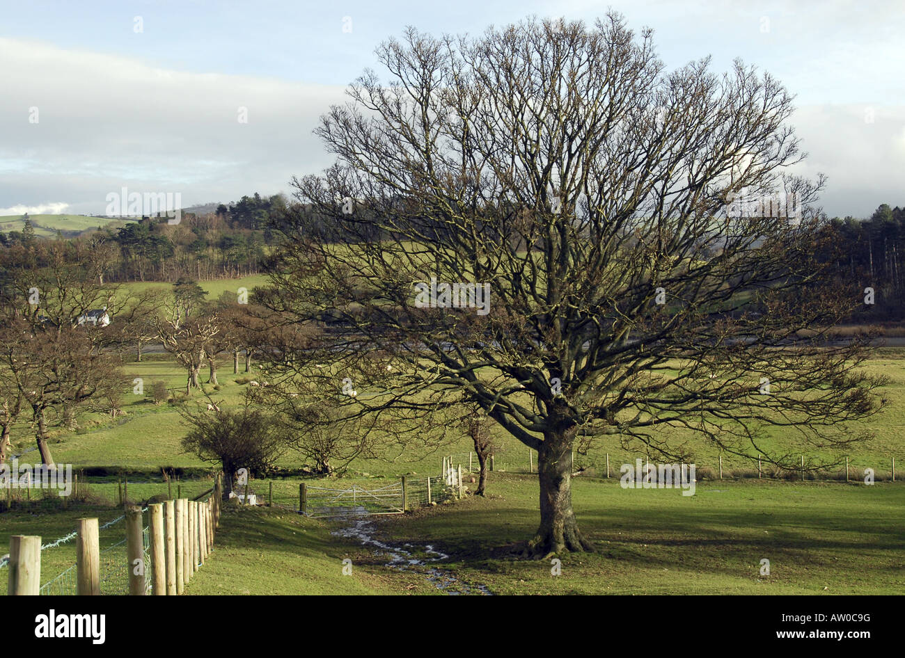 Welsh countyside hi-res stock photography and images - Alamy