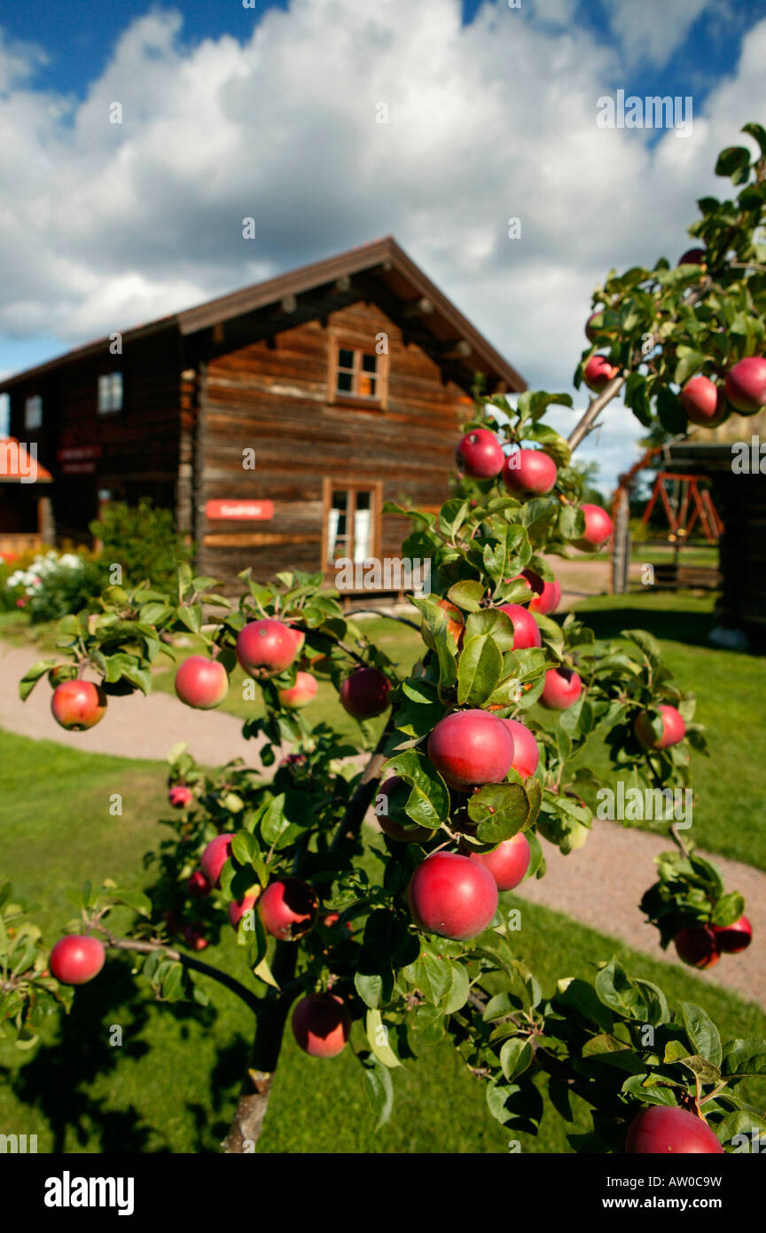 Tallberg sweden hi-res stock photography and images - Alamy