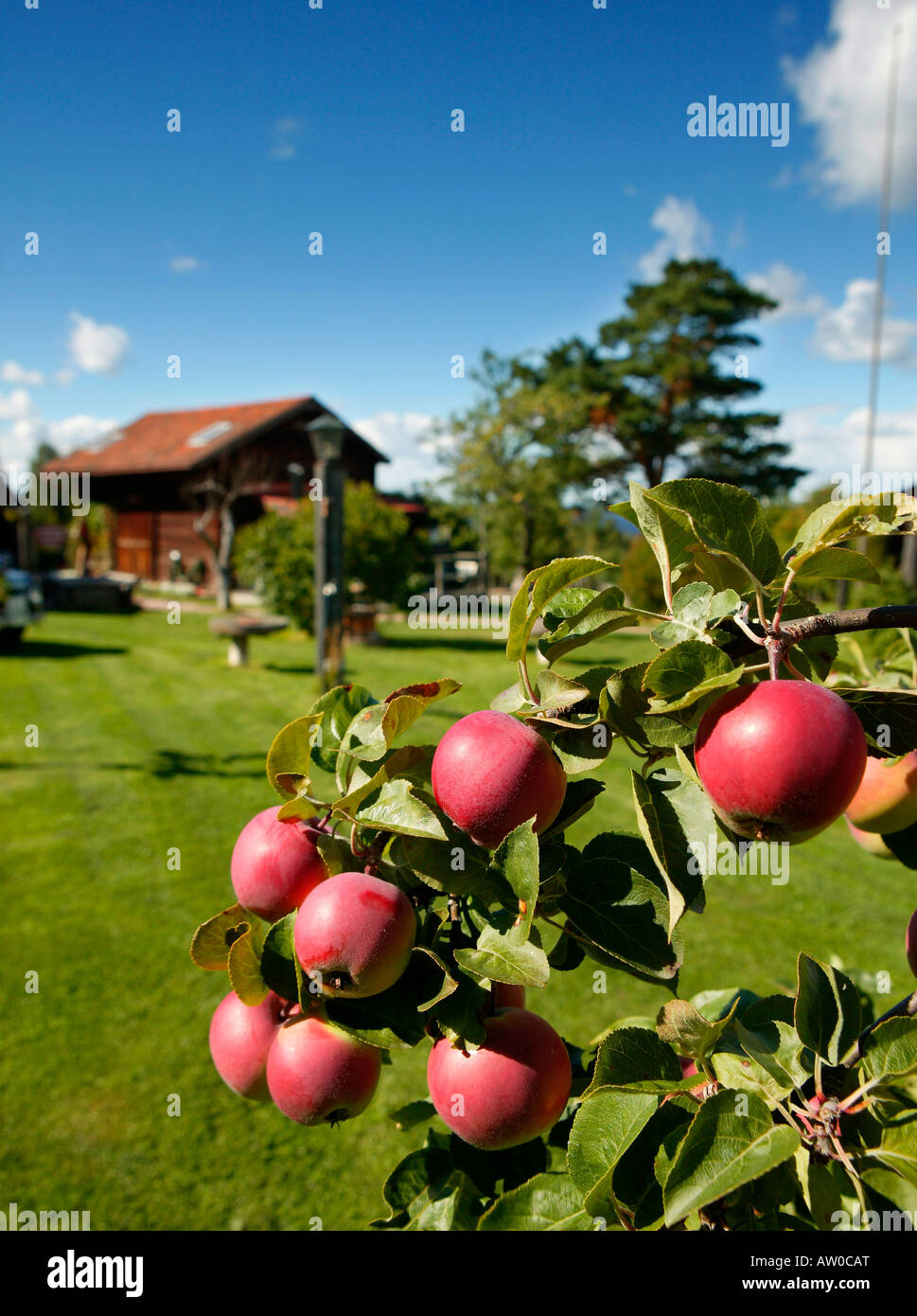 Tallberg sweden hi-res stock photography and images - Alamy