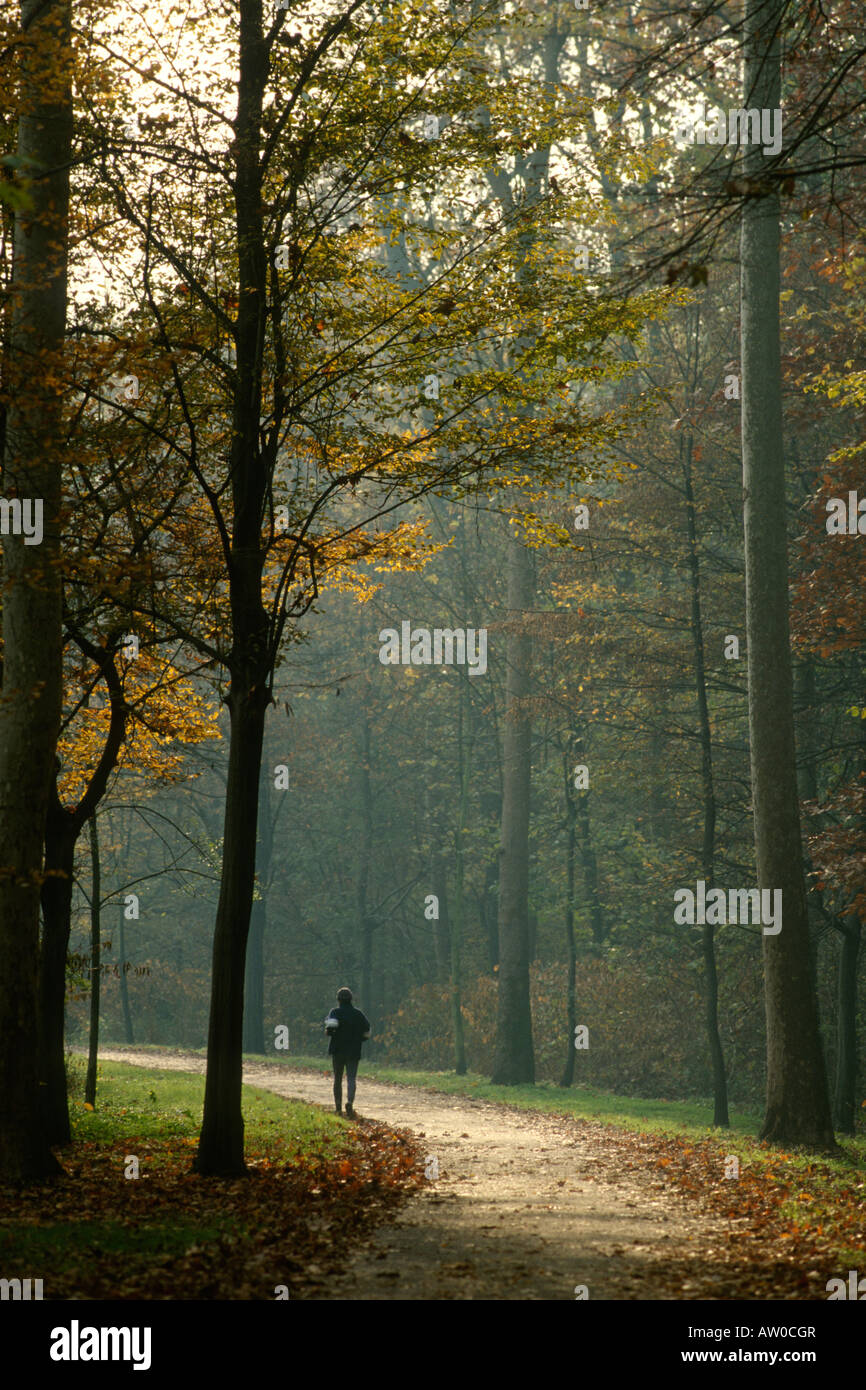 Monza Italy Parco di Monza Stock Photo - Alamy