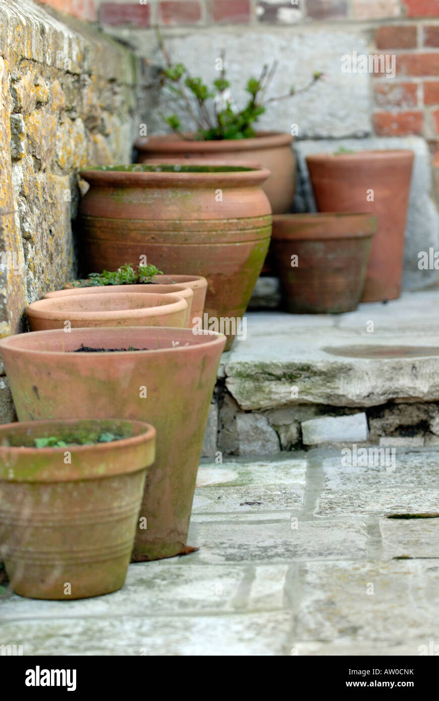 a row line of terracotta plant pots lined up displayed on some old ...