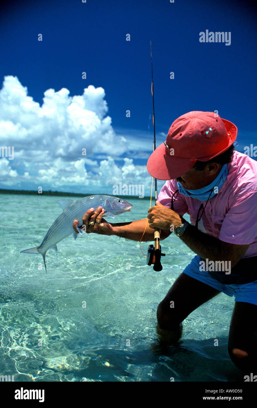 Florida Keys flyfishing angler holds bonefish caught wading shallow ...
