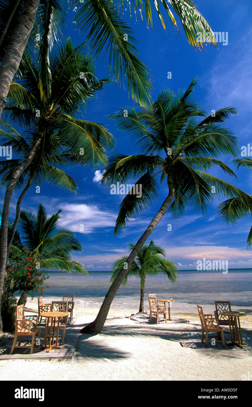 Tables under palm trees on tropical beach florida keys iconic image ...