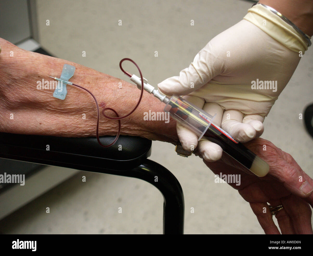 Blood being drawn from elderly woman's arm Stock Photo - Alamy
