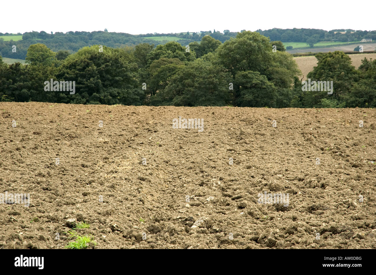 Ploughed farmers field Stock Photo - Alamy