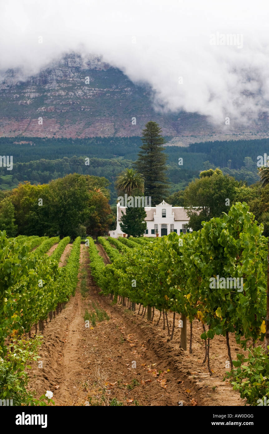 Buitenverwachting Wine Farm situated in Constantia Valley in Cape Town ...