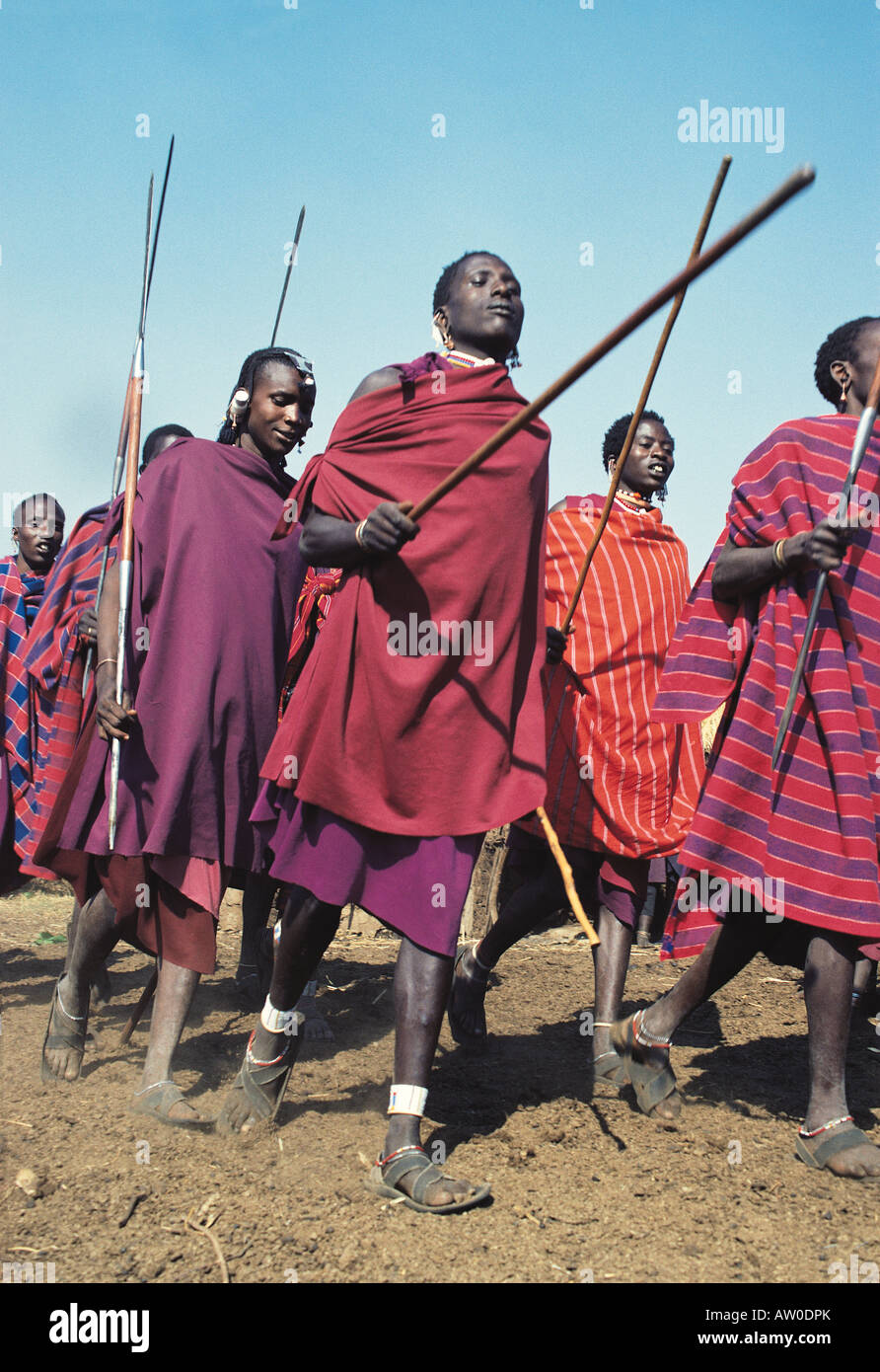 Maasai warriors or Moran in traditional dance Ngorongoro Crater ...