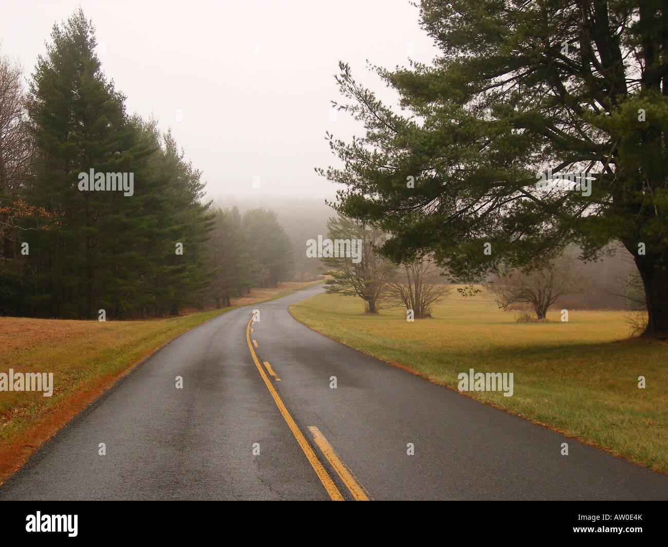 AJD59802, Blue Ridge Parkway, fog, Galax, Virginia, VA Stock Photo - Alamy