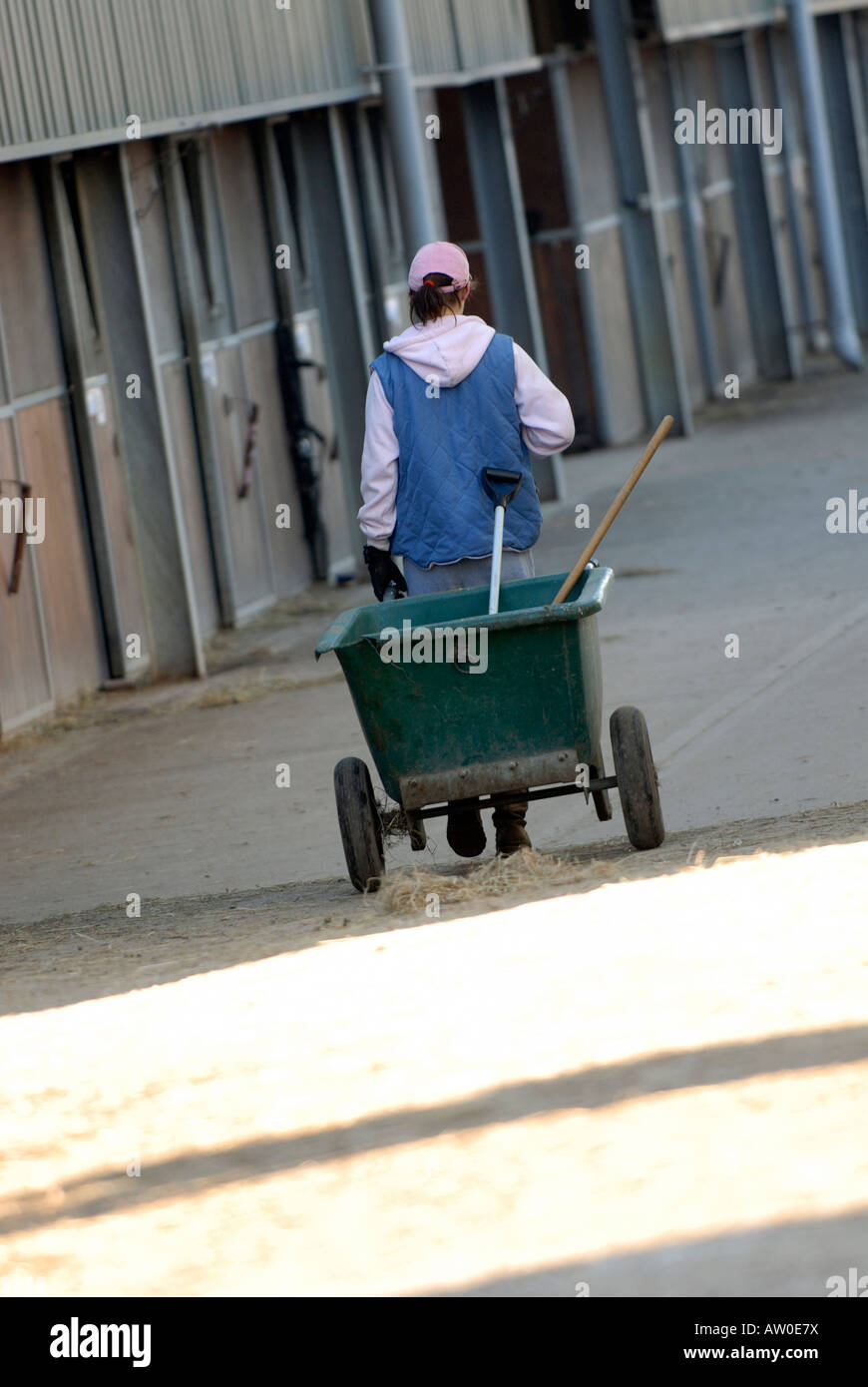 a groom stable hand employee worker at an equestrian yard stables ...