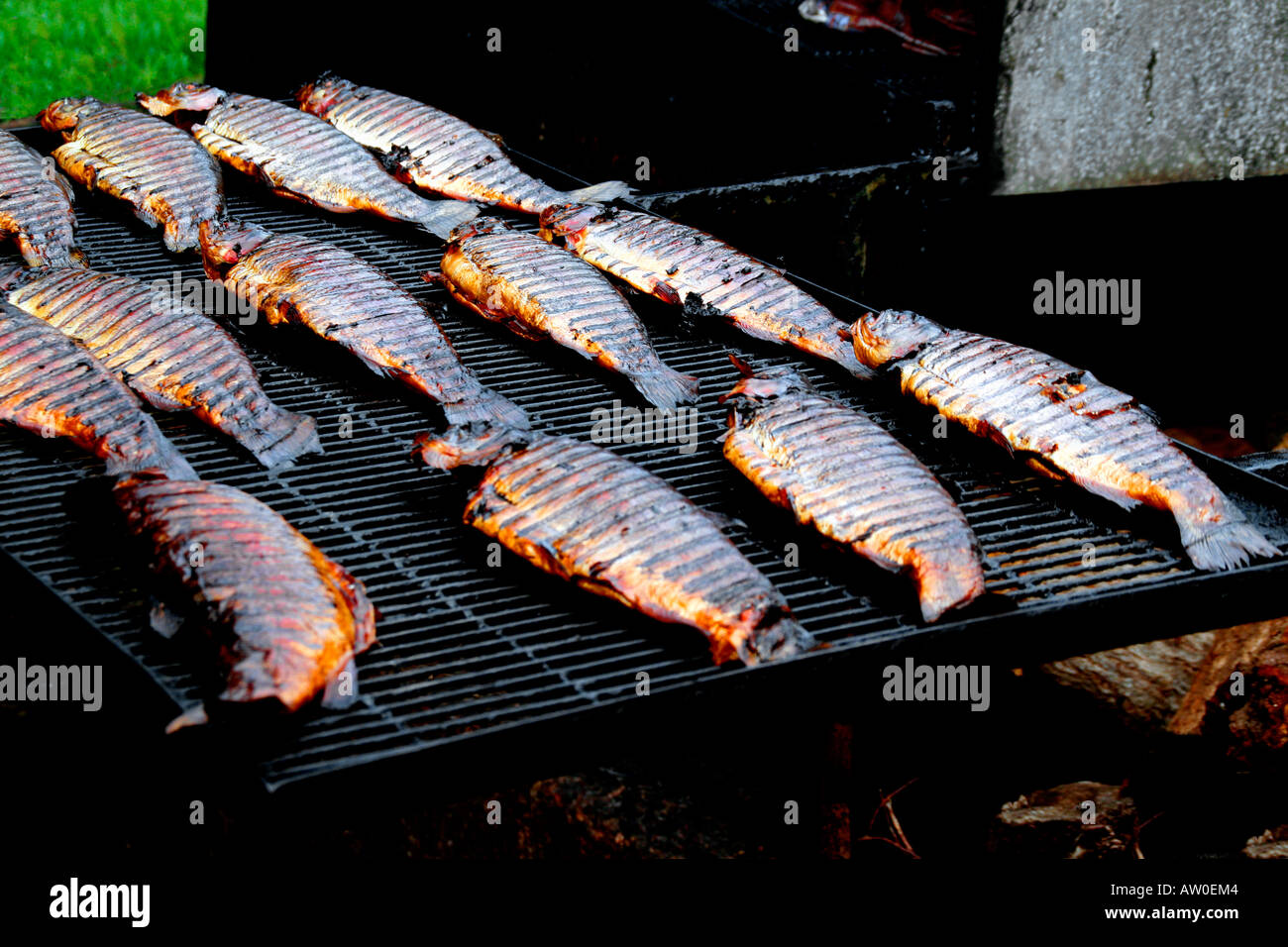 Fish being smoked at the Butley Orford Oysterage in Orford Suffolk East ...