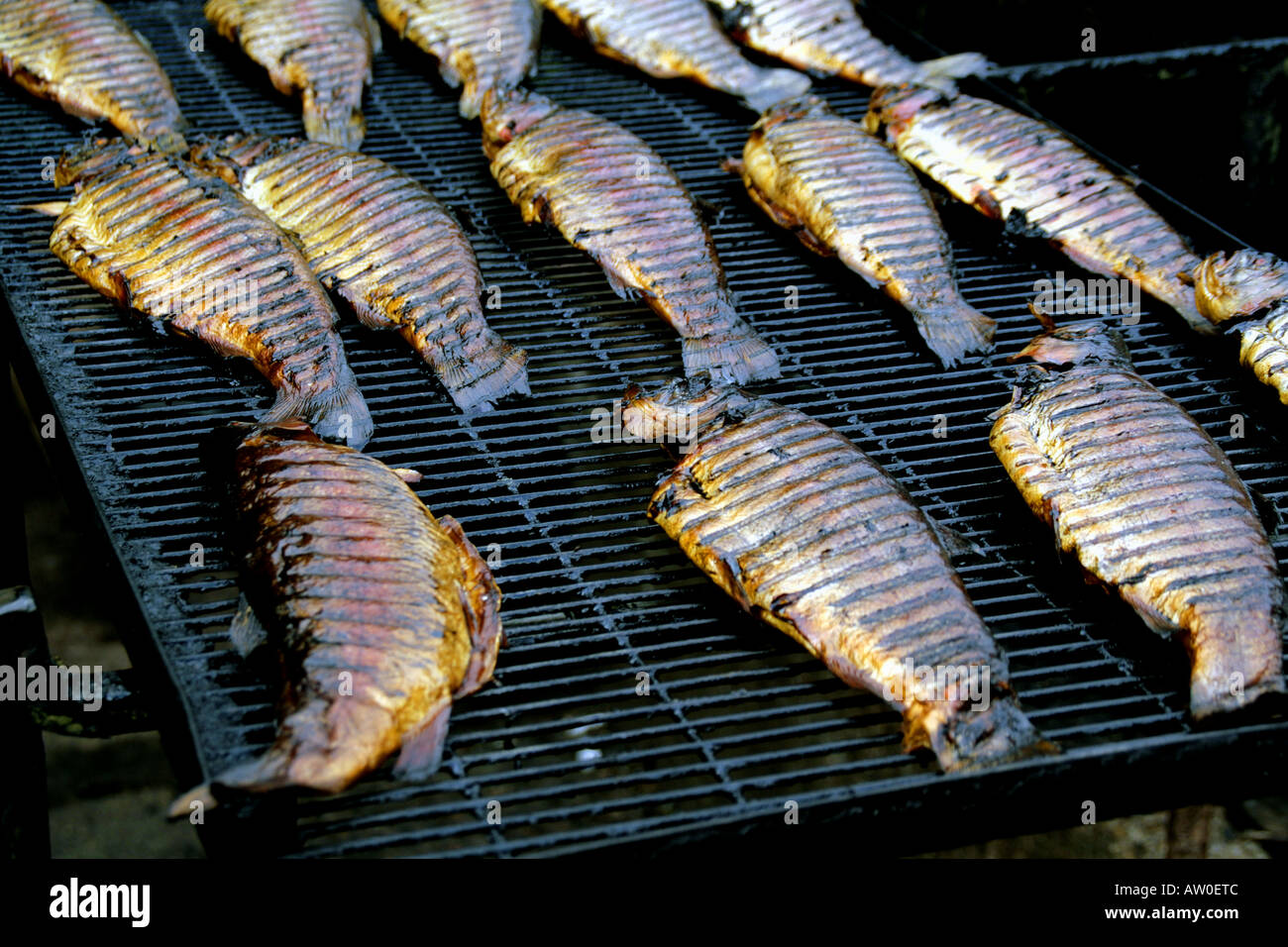 Fish being smoked at the Butley Orford Oysterage in Orford Suffolk East ...