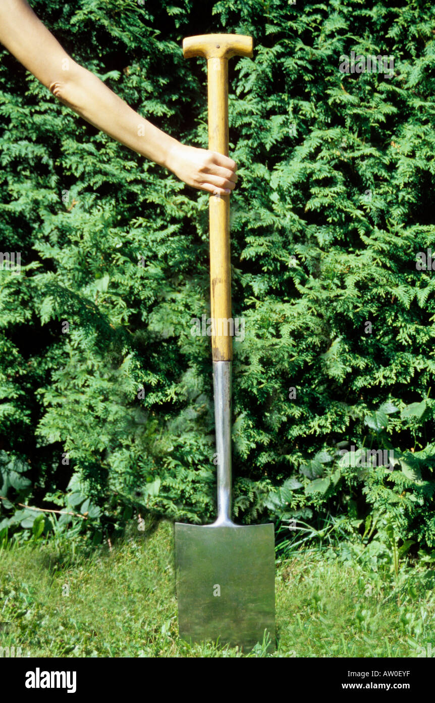 hand holding spade Stock Photo - Alamy