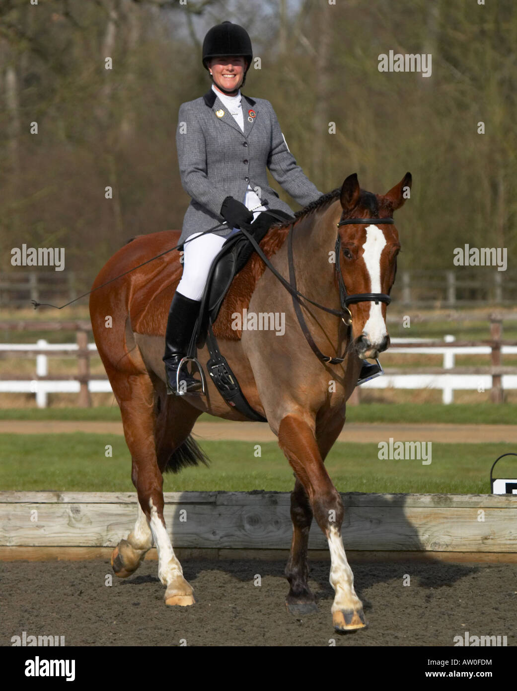 Horse rider in dressage competition Stock Photo - Alamy
