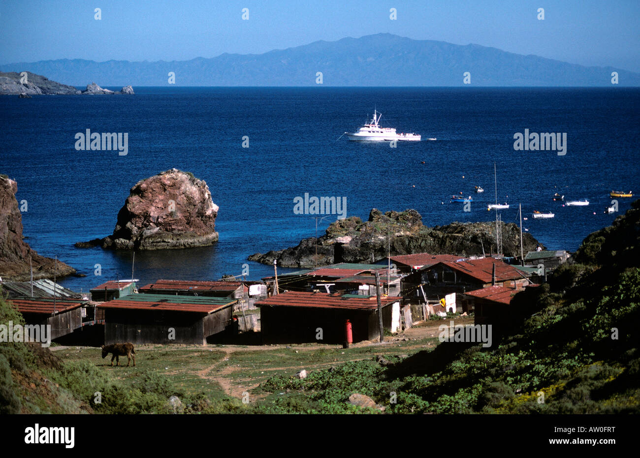 San Benito Island Mexico