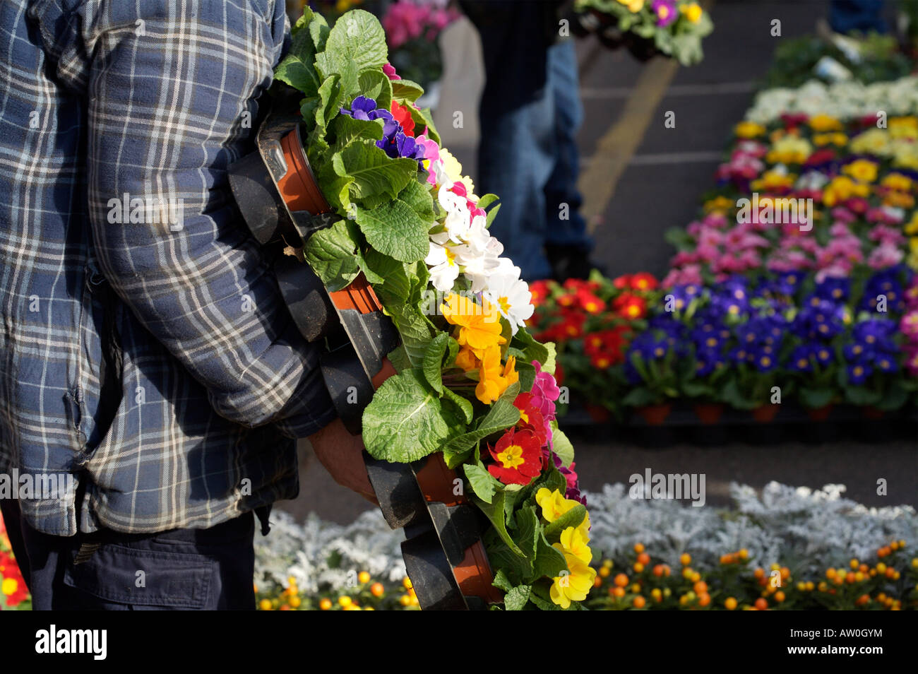 Columbia Road Flower Market London Stock Photo - Alamy