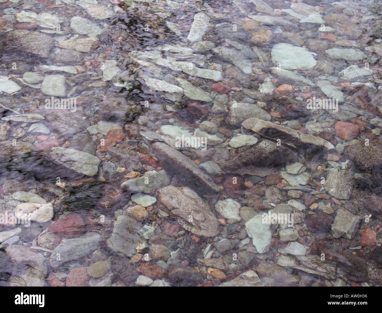Water flowing over green slate, typical stream in the Lake District ...