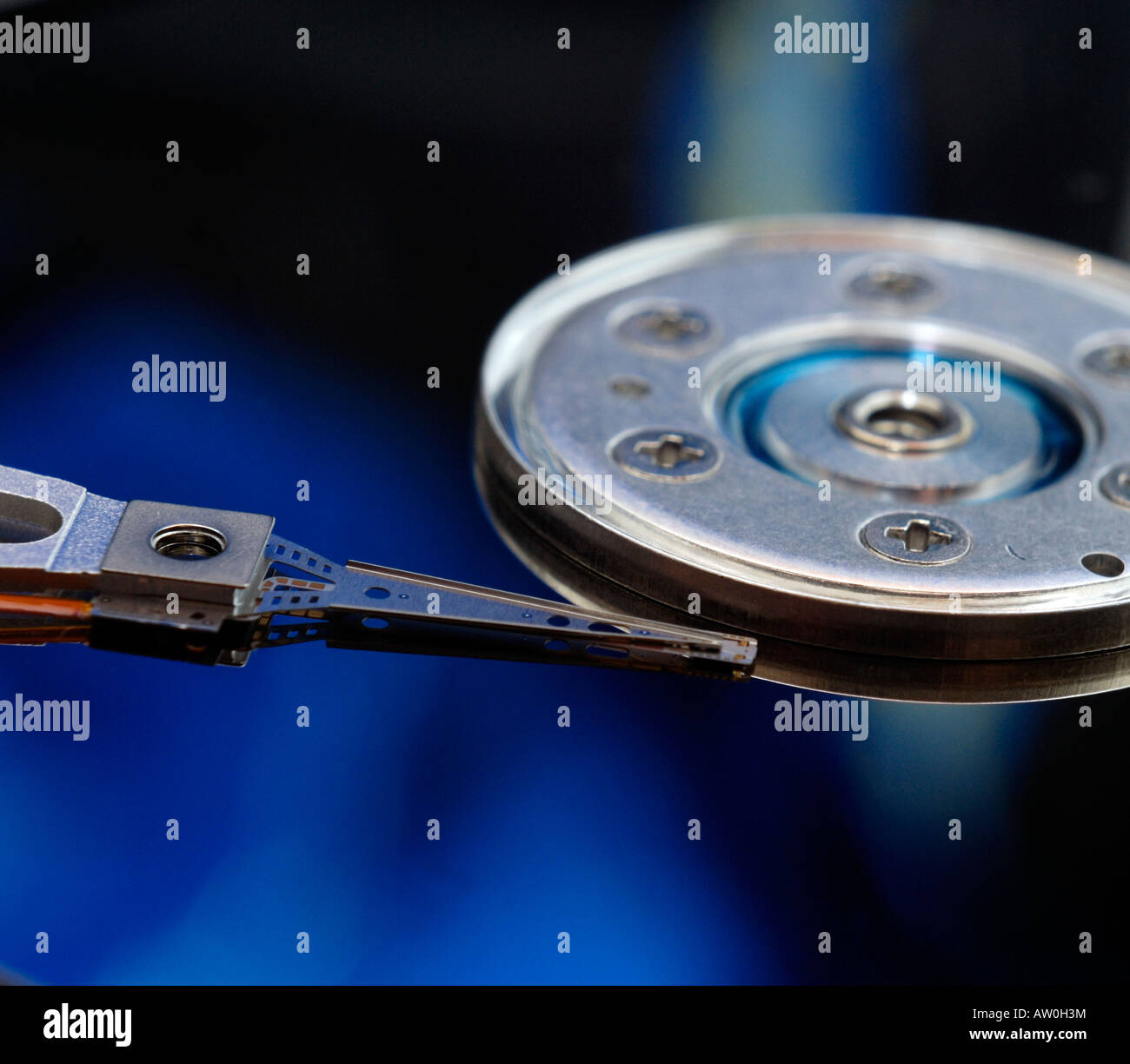 Close up of computer Hard disk drive HDD Stock Photo - Alamy