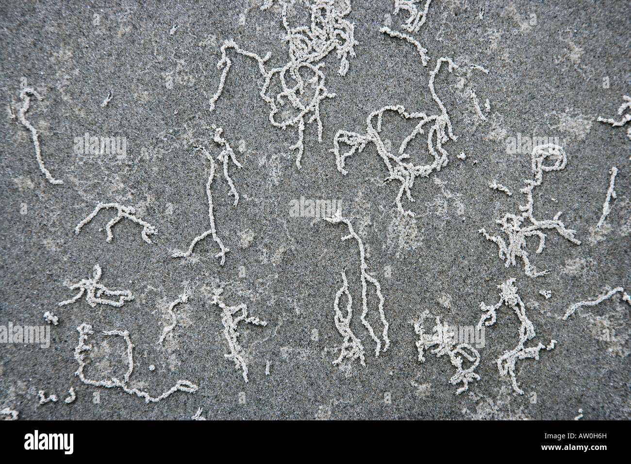 Squiggles in sand Stock Photo - Alamy