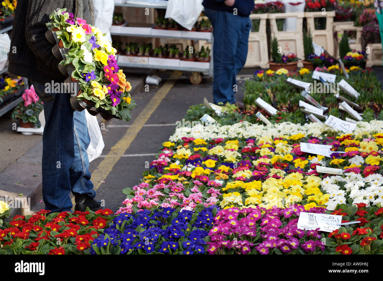 Columbia Road Flower Market London Stock Photo - Alamy