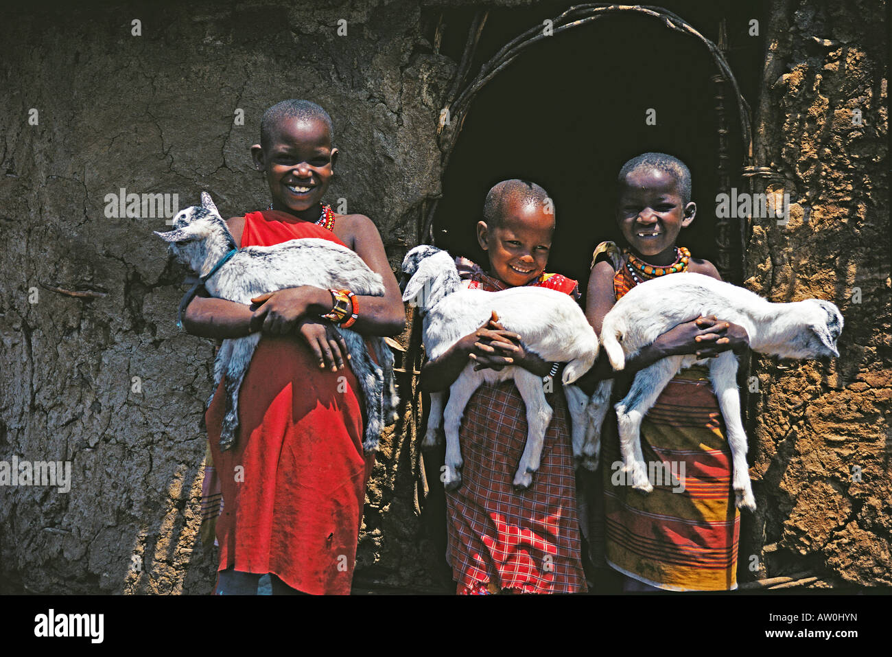 Three 3 girls holding baby goats outside their traditional mud and ...