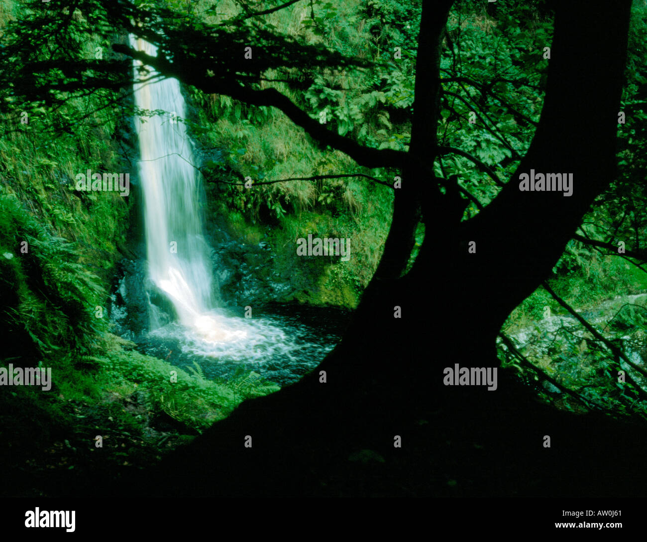 Pistyll Rhaedr Waterfall Wales UK Stock Photo - Alamy