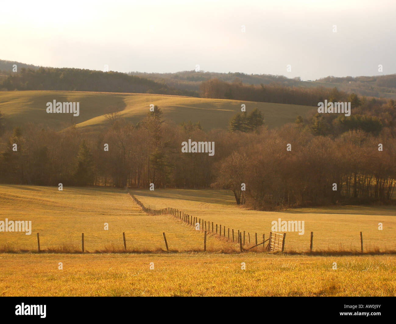 Farm pictures hi-res stock photography and images - Alamy